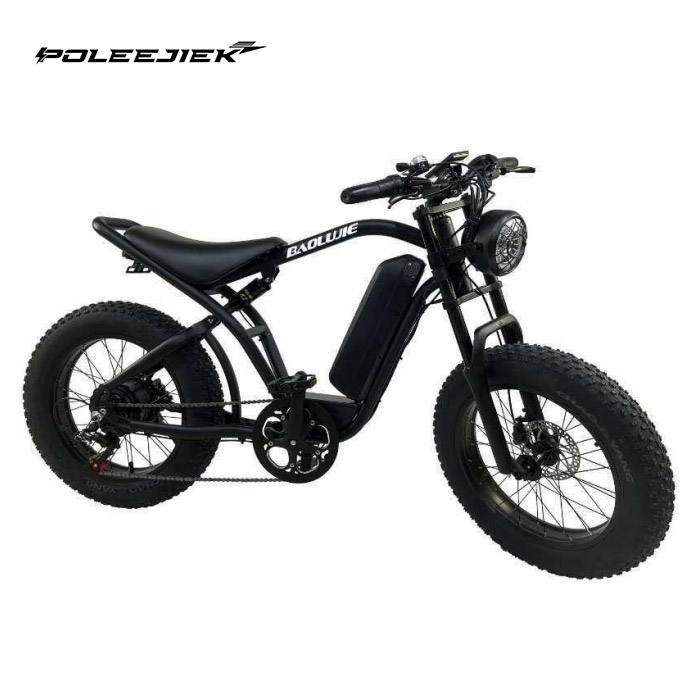Vintage Electric Bike | POLEEJIEK